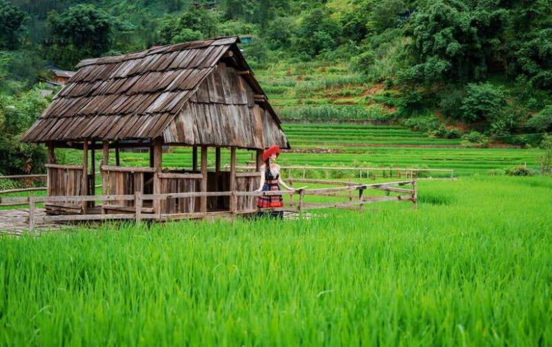 Sapa Motorbike 1 Day Trip - Visiting Ethnic Villages: Living Culture on Two Wheels