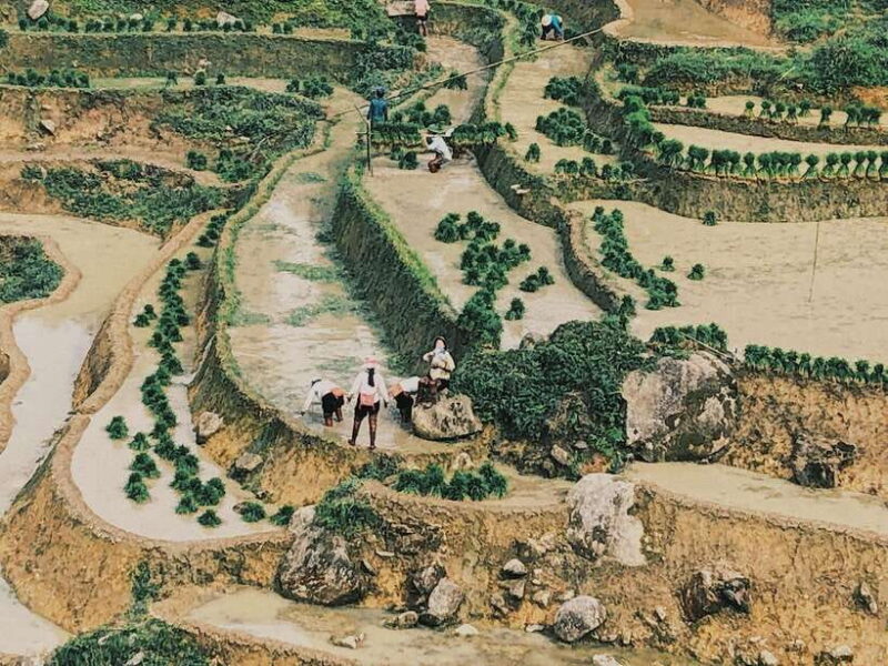 Sapa: Private Highlights Day Tour with Lunch - Transportation and Guide