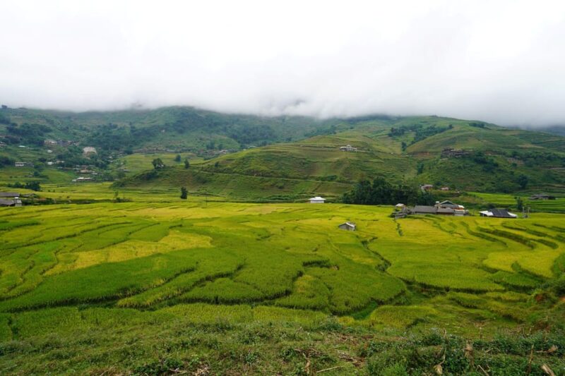 Sapa Trip to Y Linh Ho - Lao Chai - Ta Van - Cat Cat Village - Practical Details and What It Means for You