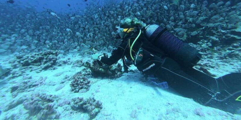Scuba Diving in Trincomalee - Who Will Enjoy This?