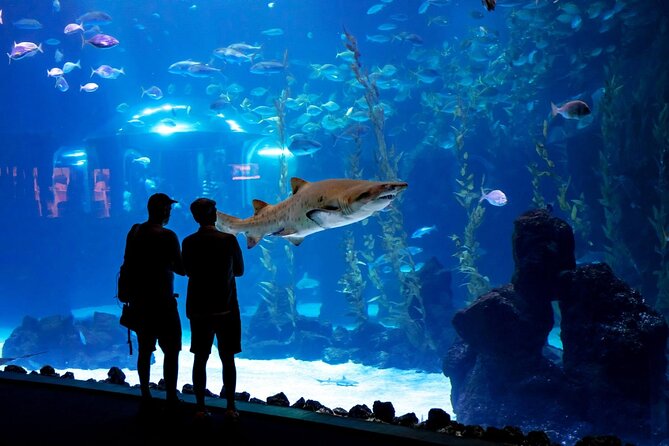 Sea and Mountain Full Day Tour with Lunch - Who Would Love This Tour?