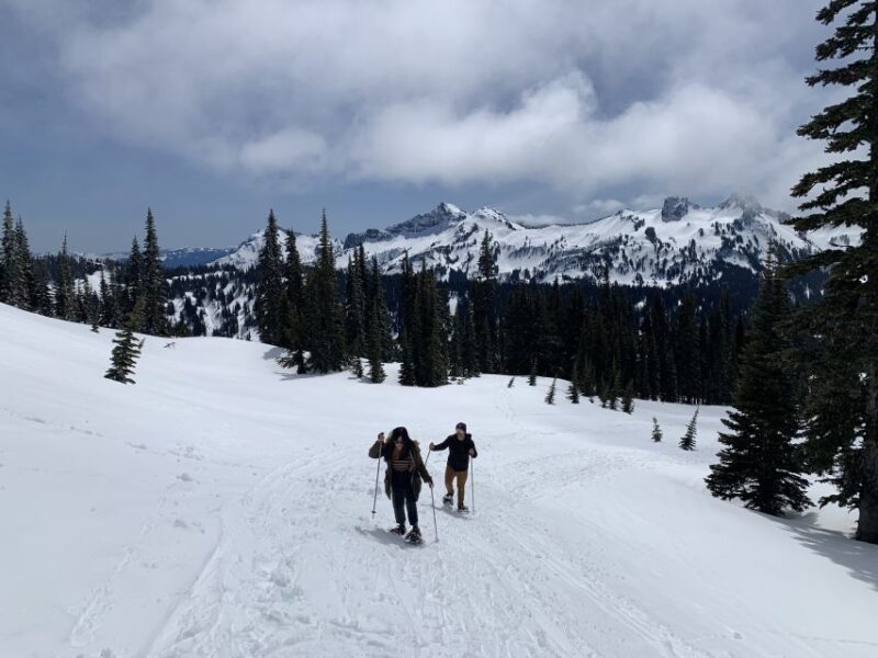Seattle: Mt. Rainier Hiking w/ Waterfalls, Glaciers & Trees - Final Thoughts