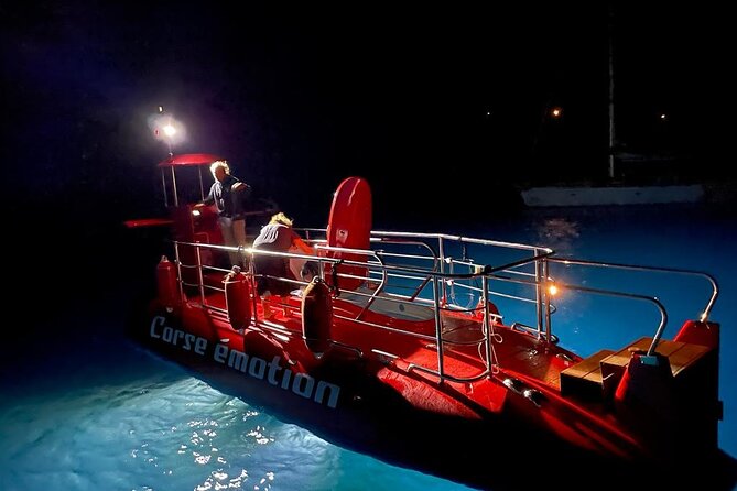 Semi-submarine: visit to the seabed of Porto Bay - The Itinerary Explained