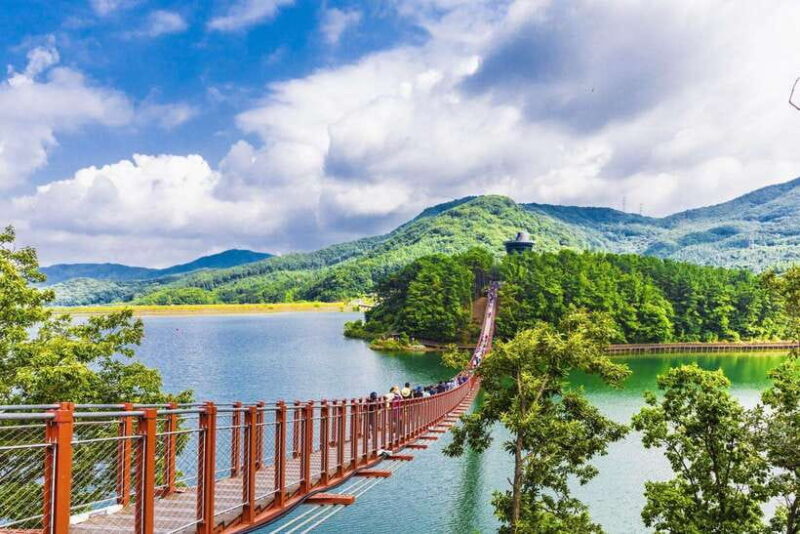 Seoul: DMZ & Observatory Tour with Suspension Bridge or Boat - The Value for Money