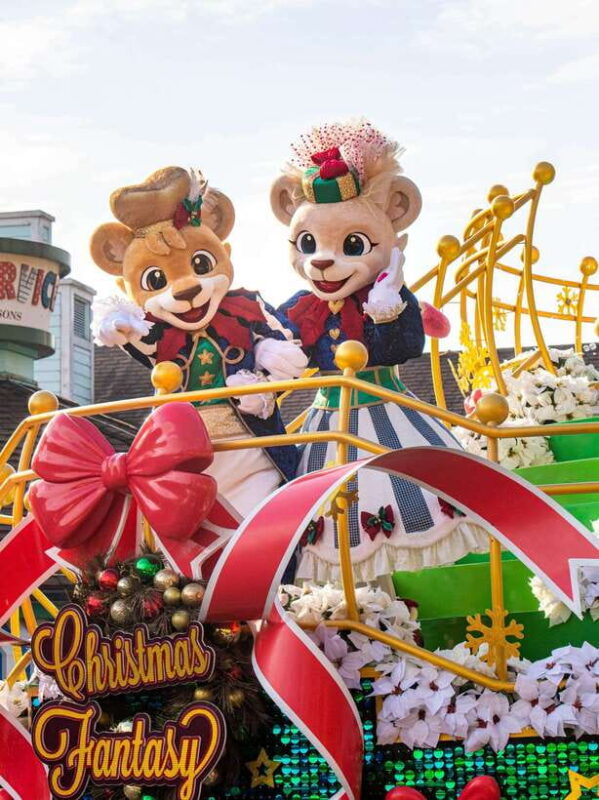 Seoul: Everland Theme Park Admission Ticket with Transfer - Who Should Book This Tour?