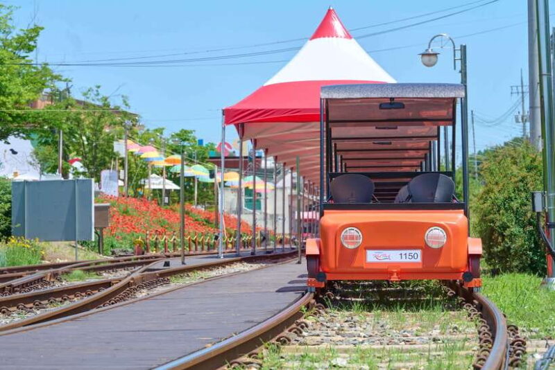 Seoul: Nami Island and Garden of Morning Calm (+Railbike) - What Makes This Tour Stand Out?