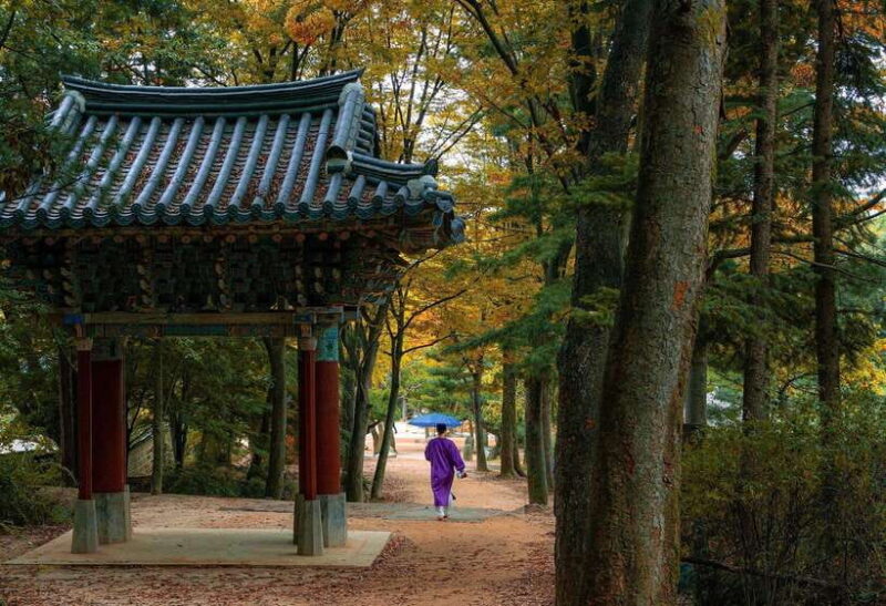 Seoul: Scenic Sunset Hike, Temple & Korean Street Food Tour - The Itinerary in Detail