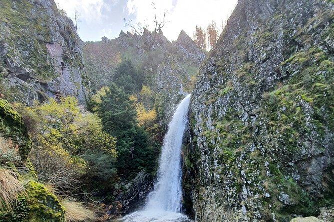 SERRA DA ESTRELA - Excursão com degustação de queijo da serra - FAQ