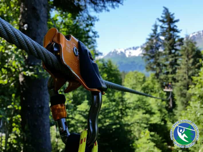 Seward: Stoney Creek Canopy Tour with Zipline - Transportation, Duration, and Group Size