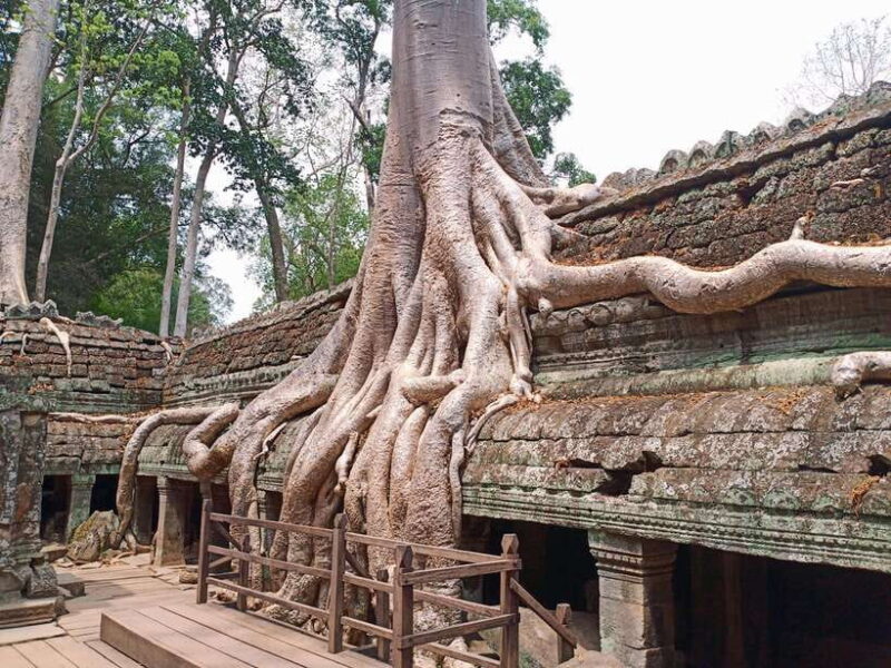 Sharing Trip to Angkor Temple with sunset - Who Is This Tour Best For?