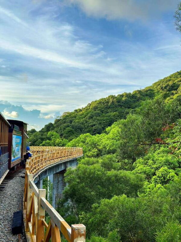Shenzhen: Pingshan Tea Valley and Wetland Garden Tour - Practical Aspects of the Tour