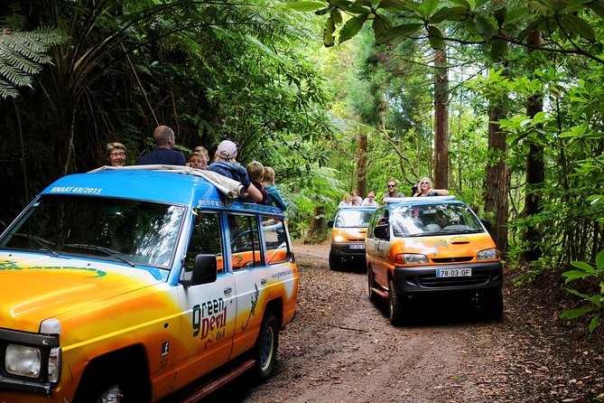 Shore Excursion - East Madeira Peaks & Santana - The Vehicle and Comfort Considerations