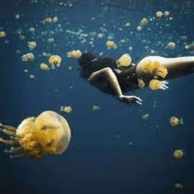 Siargao:Sohoton Island Hopping Tour with Jellyfish Sanctuary - Final Thoughts: Is It Worth It?