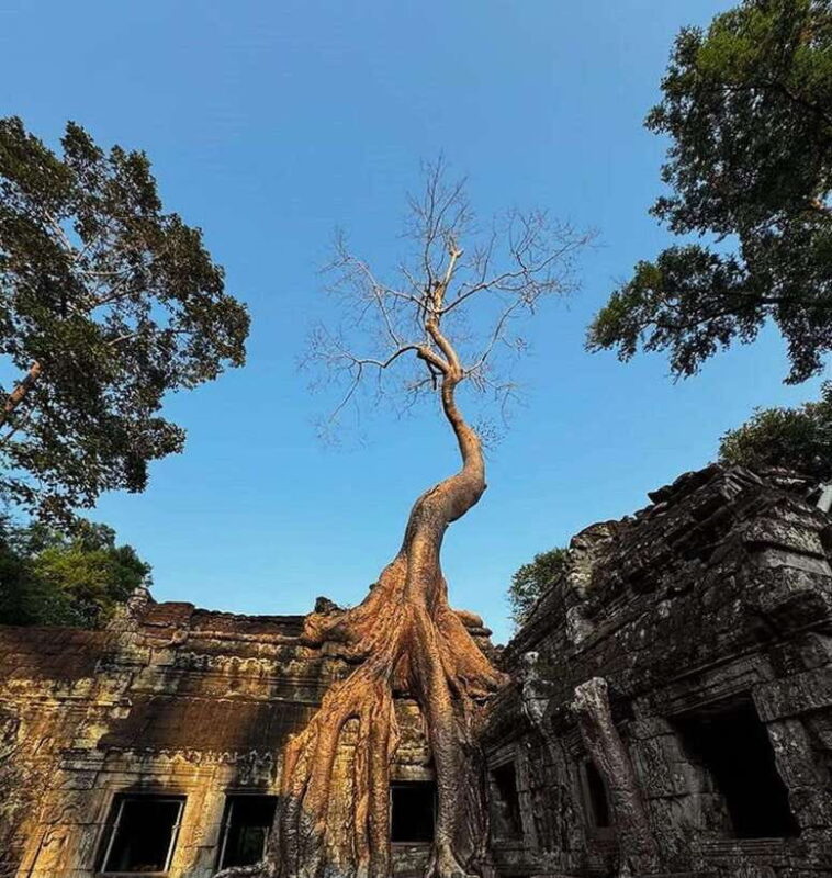 Siem Reap: Angkor Wat 1-Day Private Tour with Sunset - The Nuts and Bolts: What to Expect