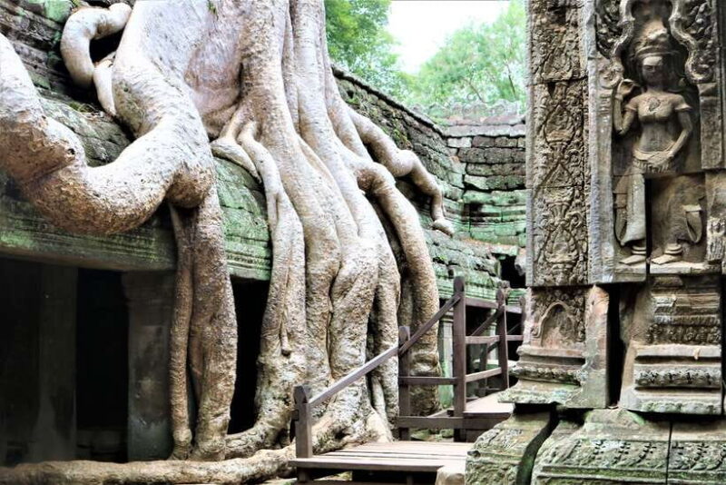 Siem Reap: Angkor Wat Sunrise and Best Temples Tour - What the Tour Means for You