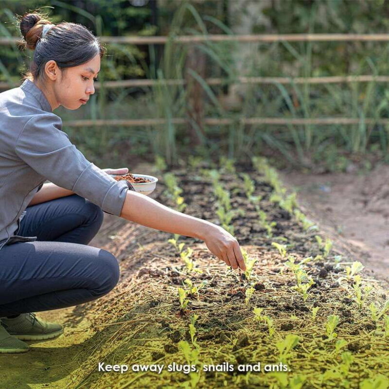 Siem Reap Morning Culinary and Culture Adventure - The Value and Experience Breakdown