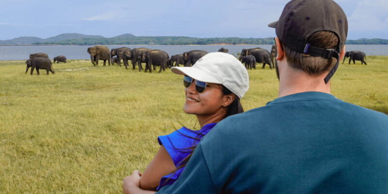 Sigiriya: Minneriya National Park Half Day Safari - An In-Depth Look at the Minneriya National Park Safari