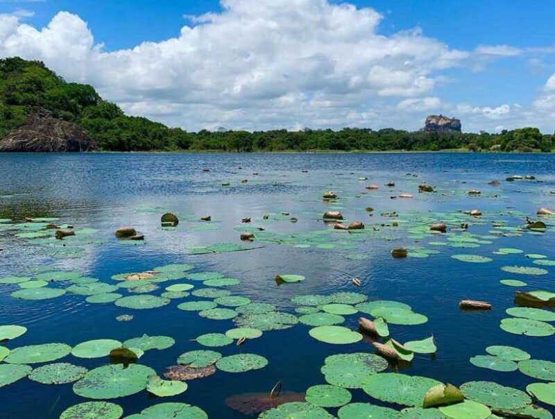 Sigiriya: Village Life and Sri Lankan Lunch - What Travelers Are Saying