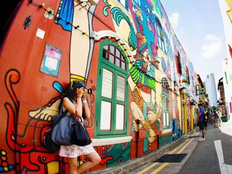 Singapore: Chinatown and Little India Guided Walking Tour - Why This Tour Is a Solid Choice