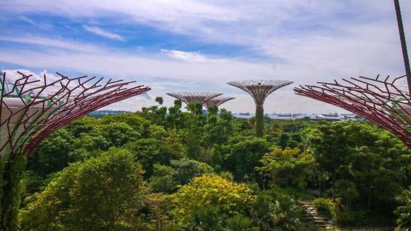 Singapore: Gardens by the Bay Bundle Entry Ticket - How the Itinerary Unfolds