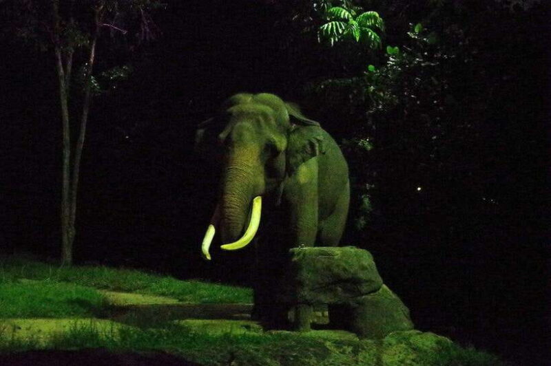 Singapore: Night Safari Singapore w/ Tram - The Sum Up: Who Should Consider the Night Safari?