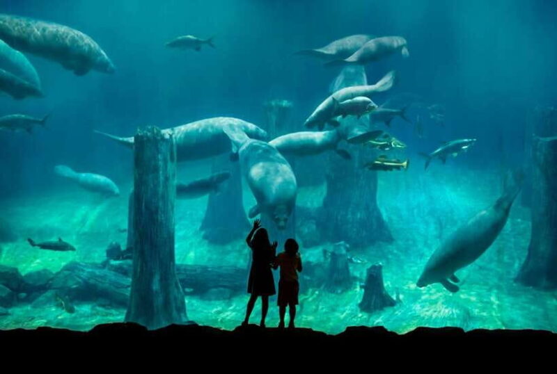 Singapore: River Wonders Entry Ticket - The Experience: Pros and Cons