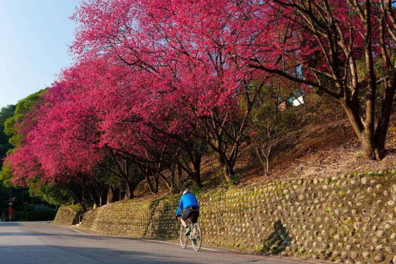 Sip & Savor:  Maokong Tea & Shenkeng Tofu Private Day Tour - Riding the Maokong Gondola