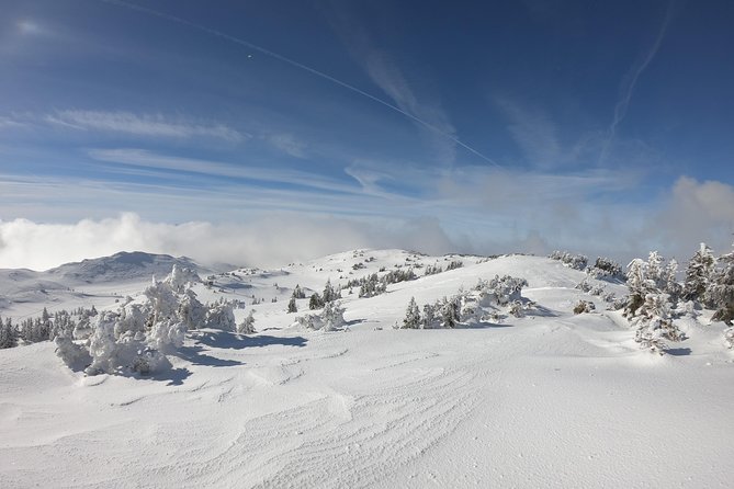 Skiing at Sarajevo Olympic Mountains  Full Day Tour from Sarajevo - Final Thoughts