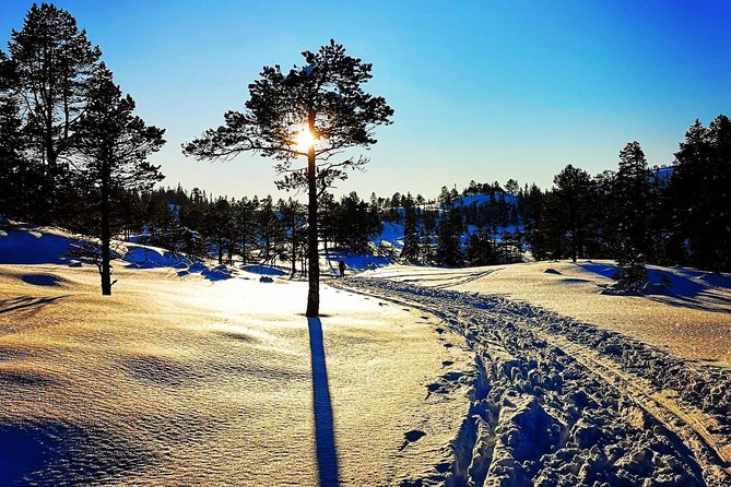 Skiing in winter wonderland - What Travelers Say