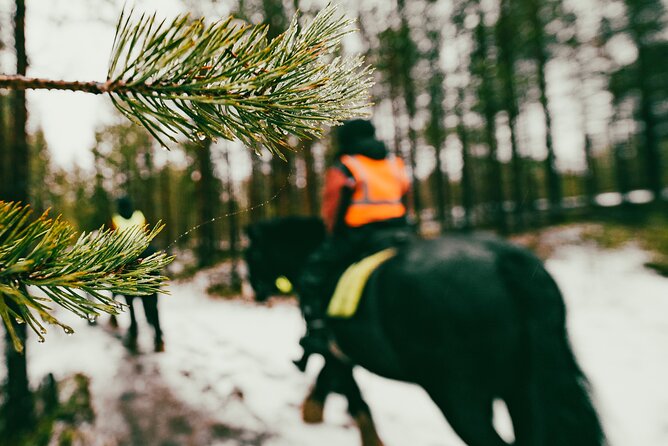 Small-Group Arctic Circle Horse Riding from Rovaniemi - The Itinerary Breakdown