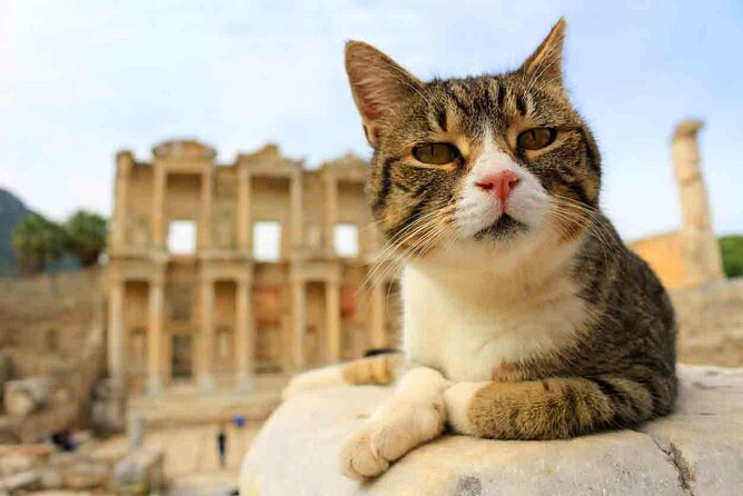 Small Group Ephesus Tour From Izmir - Practical Aspects and Value