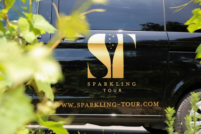 Small Group - Half Day Champagne Tour - Visit of 2 Small Producers/Growers - The Sum Up