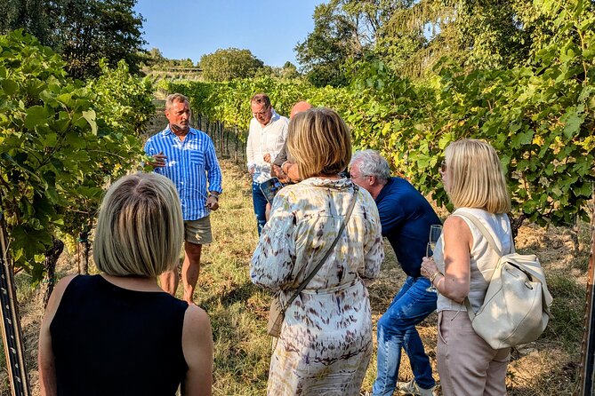 Small-group Vienna Wine Tour - The Personal Touch of a Private Guide