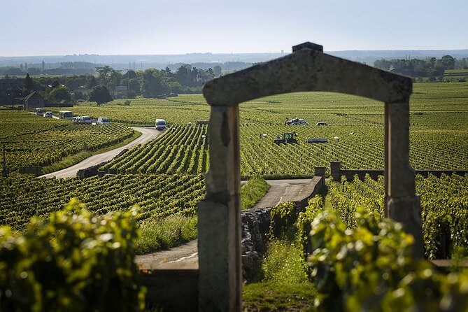 Small Group Wine Tasting Tour Côte de Beaune and Côte de Nuits - Who Should Consider This Tour?