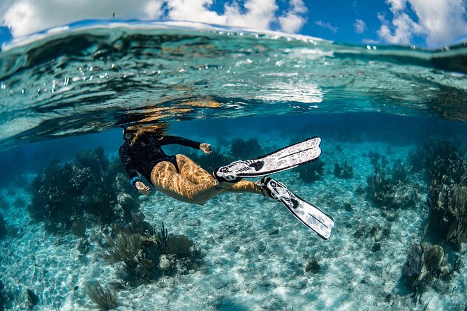 Snorkel Rental 24h, discover Tenerifes Ocean on your own! - Key Points