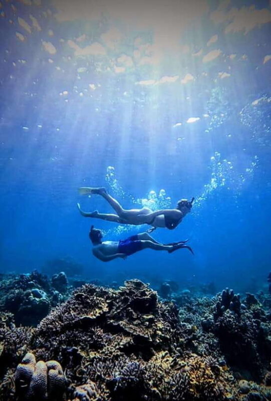 Snorkeling around 3 island & turtle sanctuary - A Closer Look at the Tour Itinerary