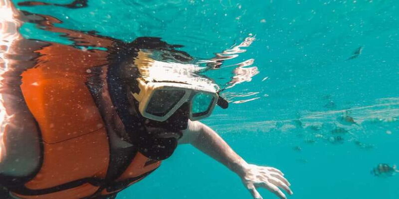 Snorkeling in Trincomalee - What the Reviews Tell Us