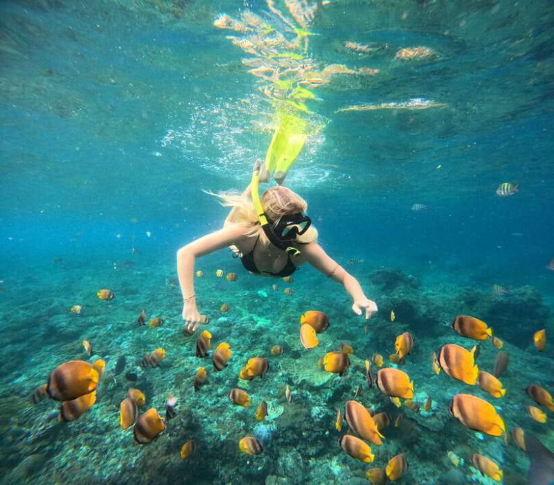 Snorkeling Nusa Penida four Spots - A Closer Look at the Itinerary