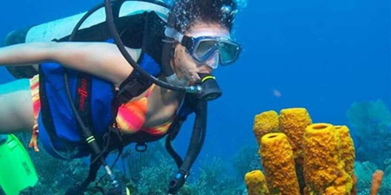 Snorkeling Trip from Polhena Beach, Matara, Sri Lanka - Breaking Down the Experience