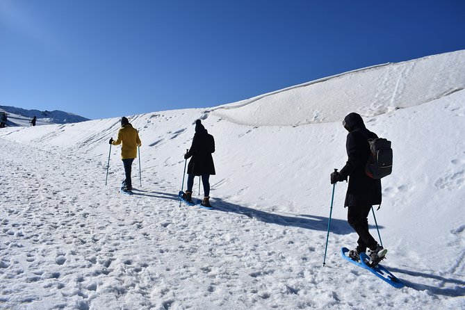 Snowshoe hiking in Sierra Nevada (Granada) - What the Reviews Say