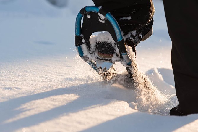 Snowshoeing in the Arctic Circle Wilderness - Real Experiences from Participants