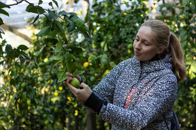 Sorrento Farm by Tuk Tuk: Cheese, Limoncello & Hands-On Pizza - Exploring the Itinerary: A Closer Look