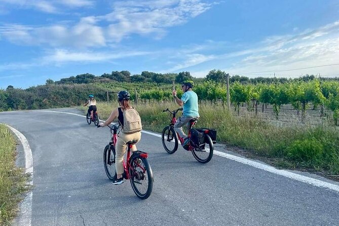 Soulouksina cultural e-bike experience in Pediada Province-Crete - The Authentic Flavor of Crete