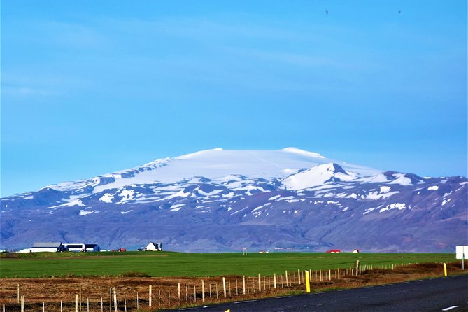South Coast Private Day Tour - up to 9 passengers - Why This Tour Is a Great Choice