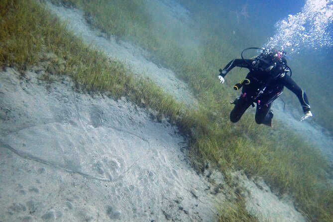 South of Tenerife : DSD Scuba Diving for beginners, Adeje - The Small Group Advantage
