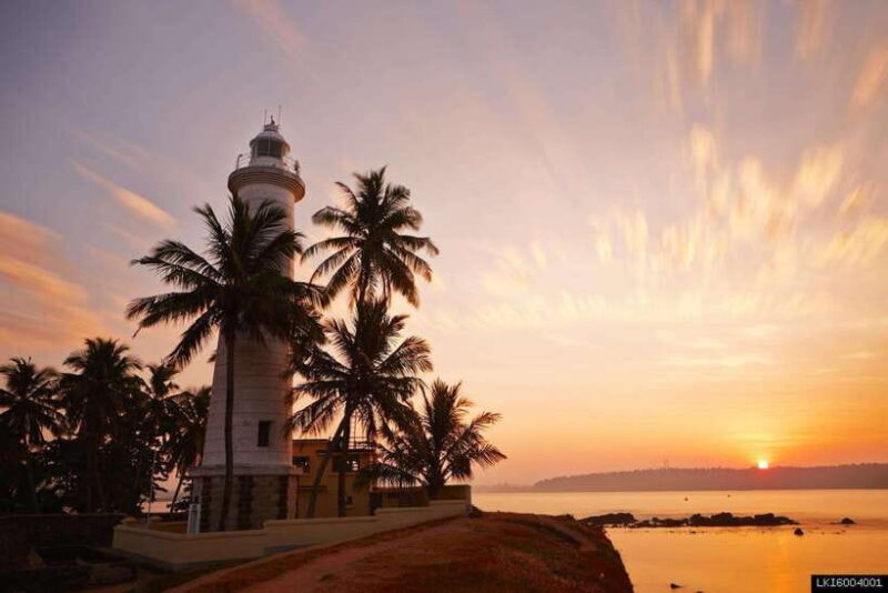 Southern Sri Lanka: Sea, Sand & Marine Life 2-Day Tour - The Itinerary in Detail