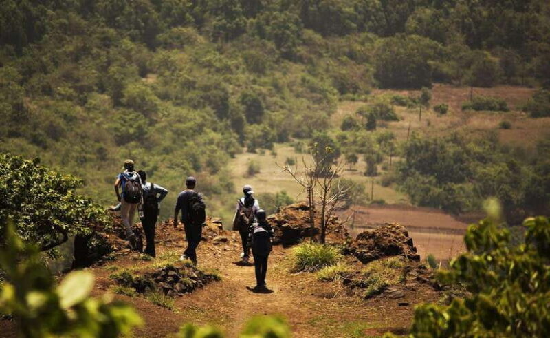 Sri Lanka: 3-Day Hill Country Experience with train trip - The Value of This Tour