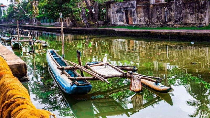 Sri Lanka : 8-Day Sri Lanka Temple & Spiritual Journey Tour - Cost and Value