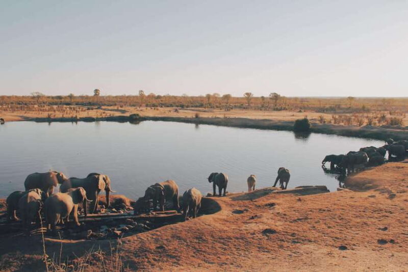 Sri Lanka Compact Highlight 5-Day Tour Sigiriya, Kandy, Ella - Practicalities and Value