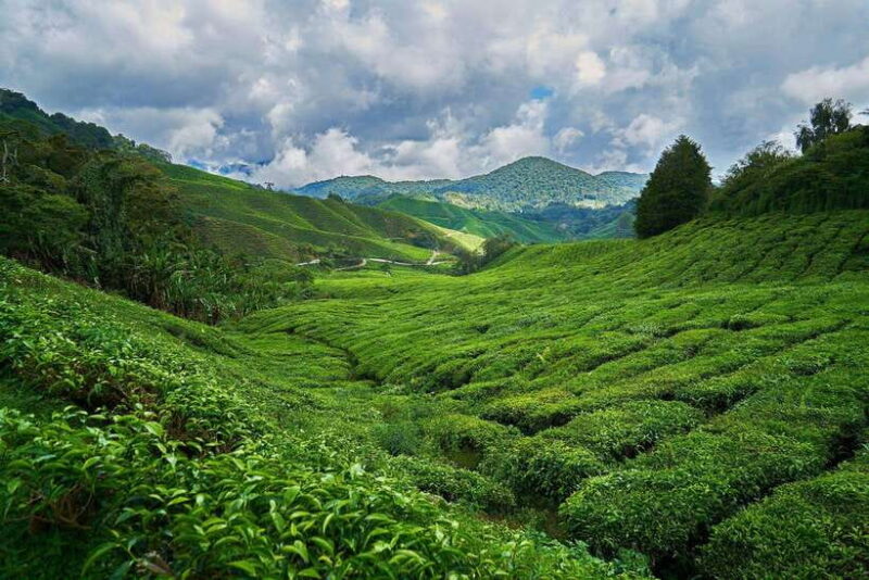 Sri Lanka, Kandy: Hill Country 3-Day Private Tour - Day 2: From Nuwara Eliya to Ella and Horton Plains
